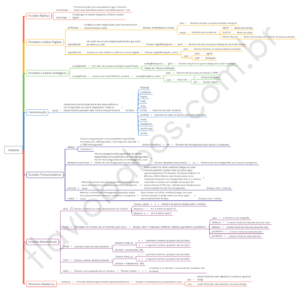 O que é Arduino? Tudo Que Você Precisa Saber [Guia Completo]